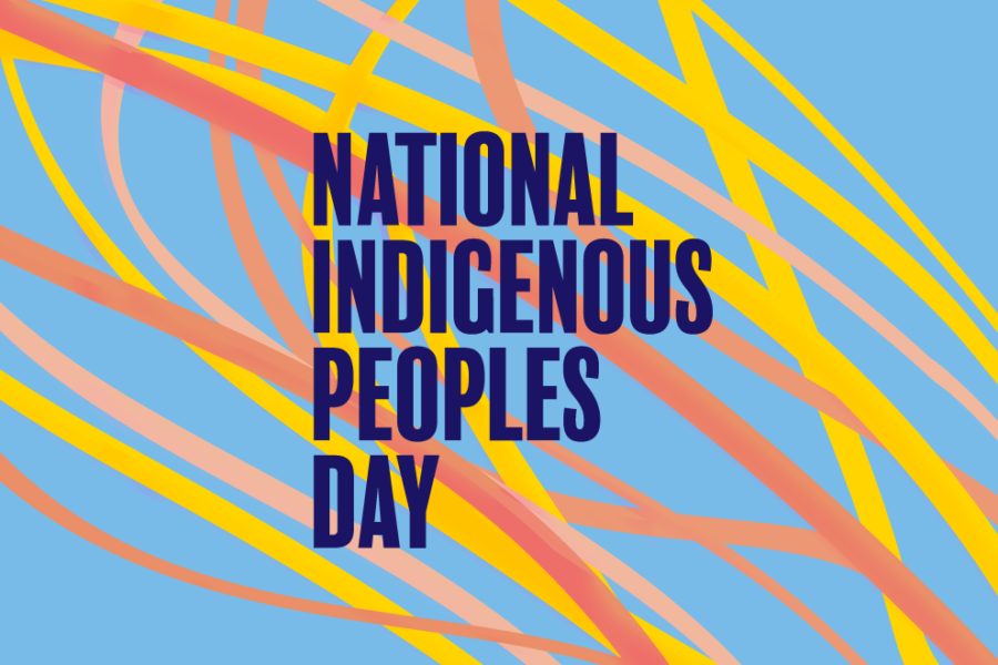 National Indigenous Peoples Day Ceremony – Councillor Stephen Dasko, Ward 1