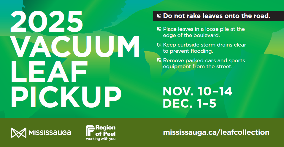 2025 Vacuum Leaf Collection Program – Councillor Stephen Dasko, Ward 1