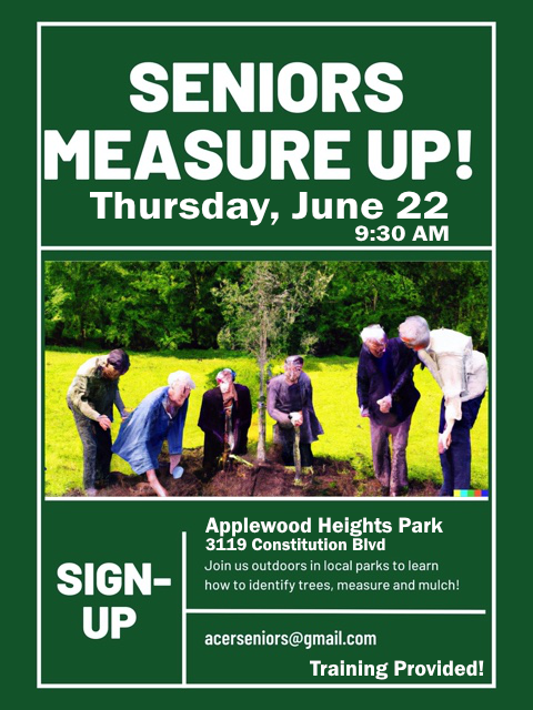 Parks – Councillor Stephen Dasko, Ward 1