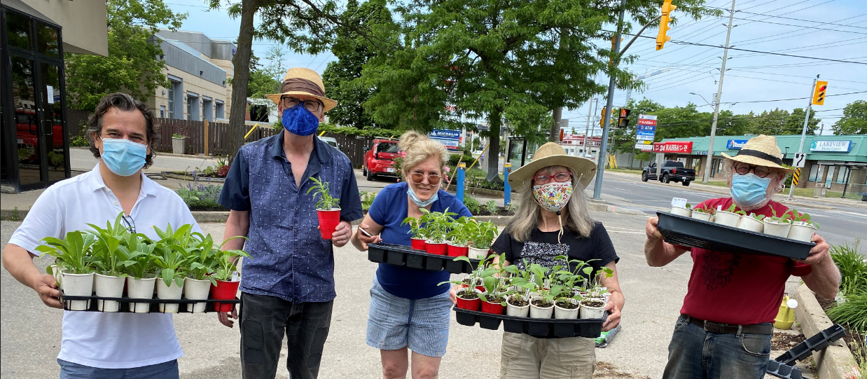 Blooming Boulevards – Councillor Stephen Dasko, Ward 1