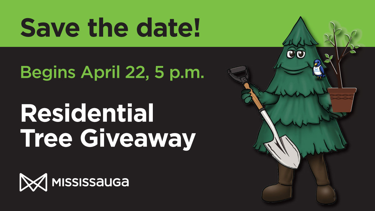 Spring Tree Giveaway Program – Councillor Stephen Dasko, Ward 1